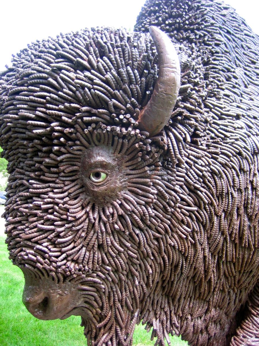 A Buffalo Roams the Capitol Lawn – GALLIVANCE