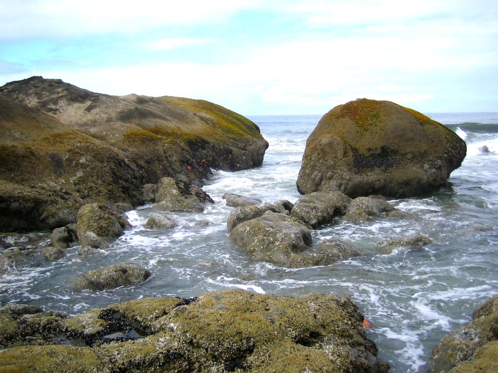 Life In A Tide Pool: Not As Easy As It Looks – GALLIVANCE