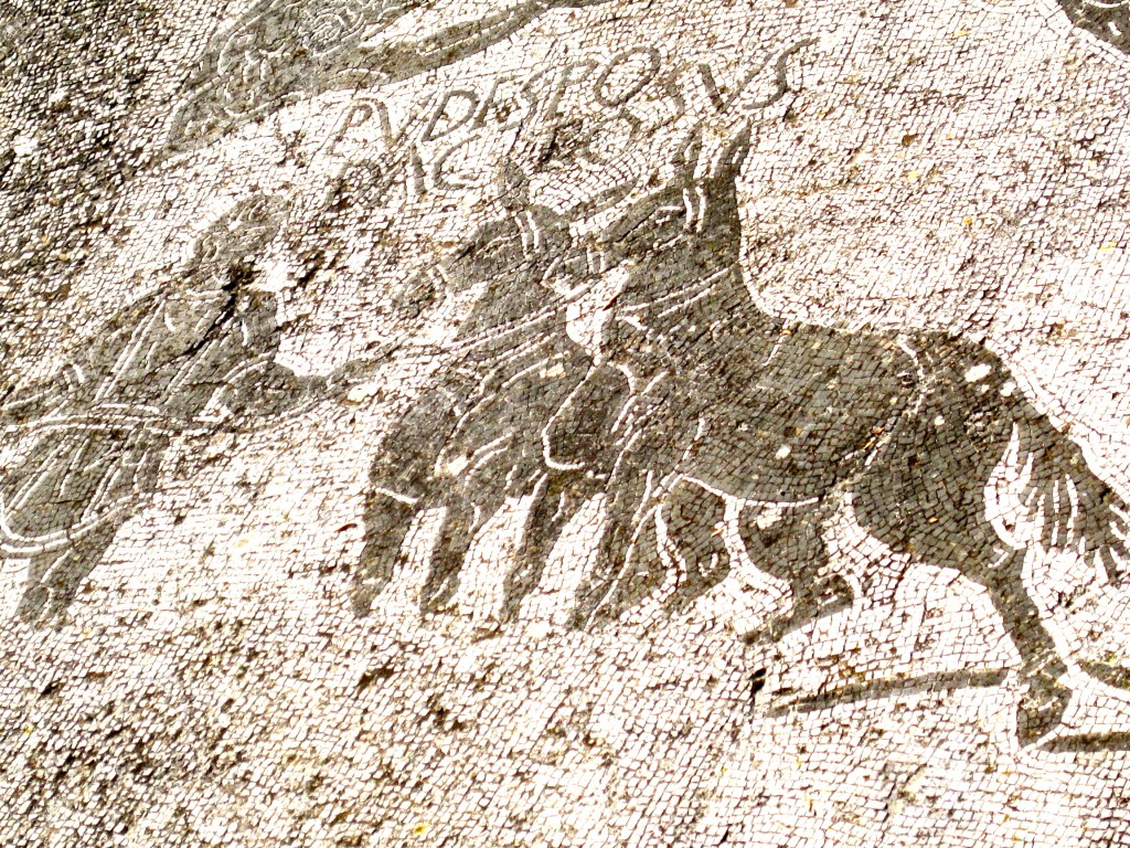 Mules, Gods, and Ad Men: Ostia Antica’s Mosaics – GALLIVANCE