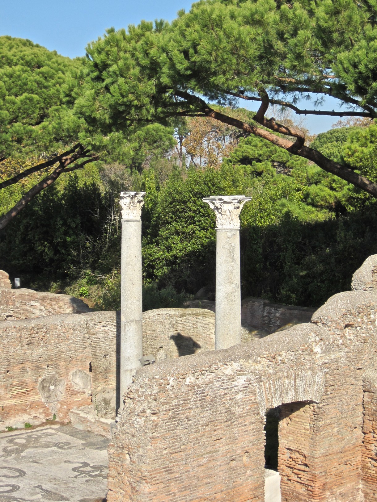 Mules, Gods, and Ad Men: Ostia Antica’s Mosaics – GALLIVANCE