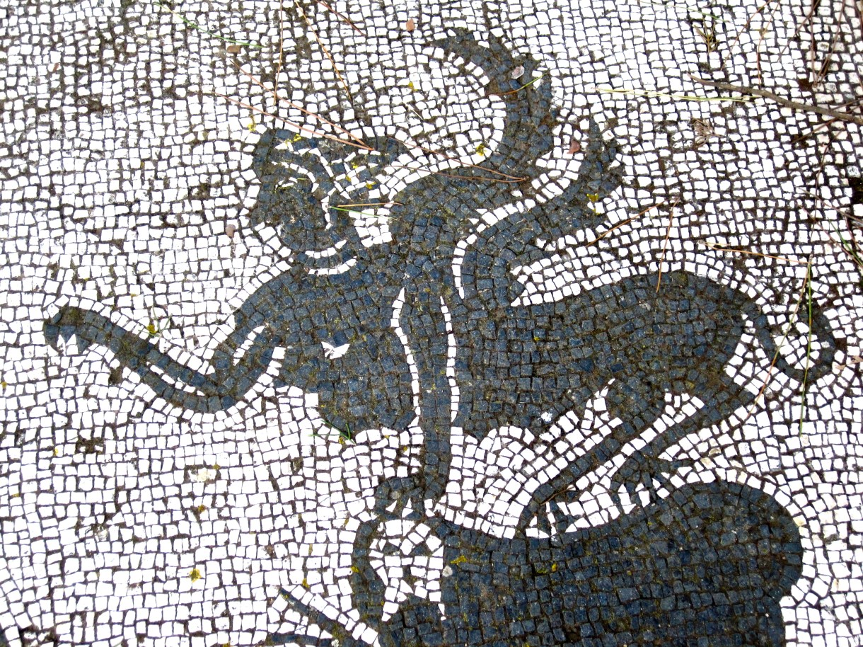 Mules, Gods, and Ad Men: Ostia Antica’s Mosaics – GALLIVANCE