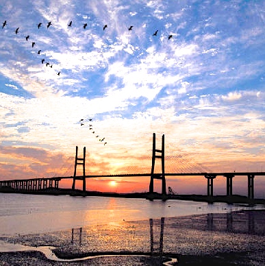 Bridges: Functional Art at Its Finest – GALLIVANCE