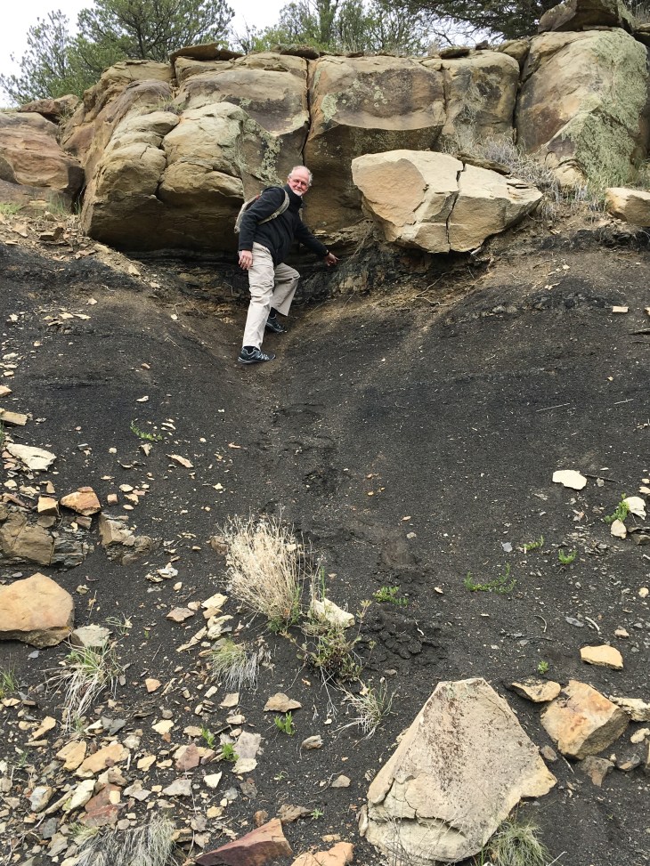 The End of the Dinosaurs and the K-T Boundary: Touching the Proof ...