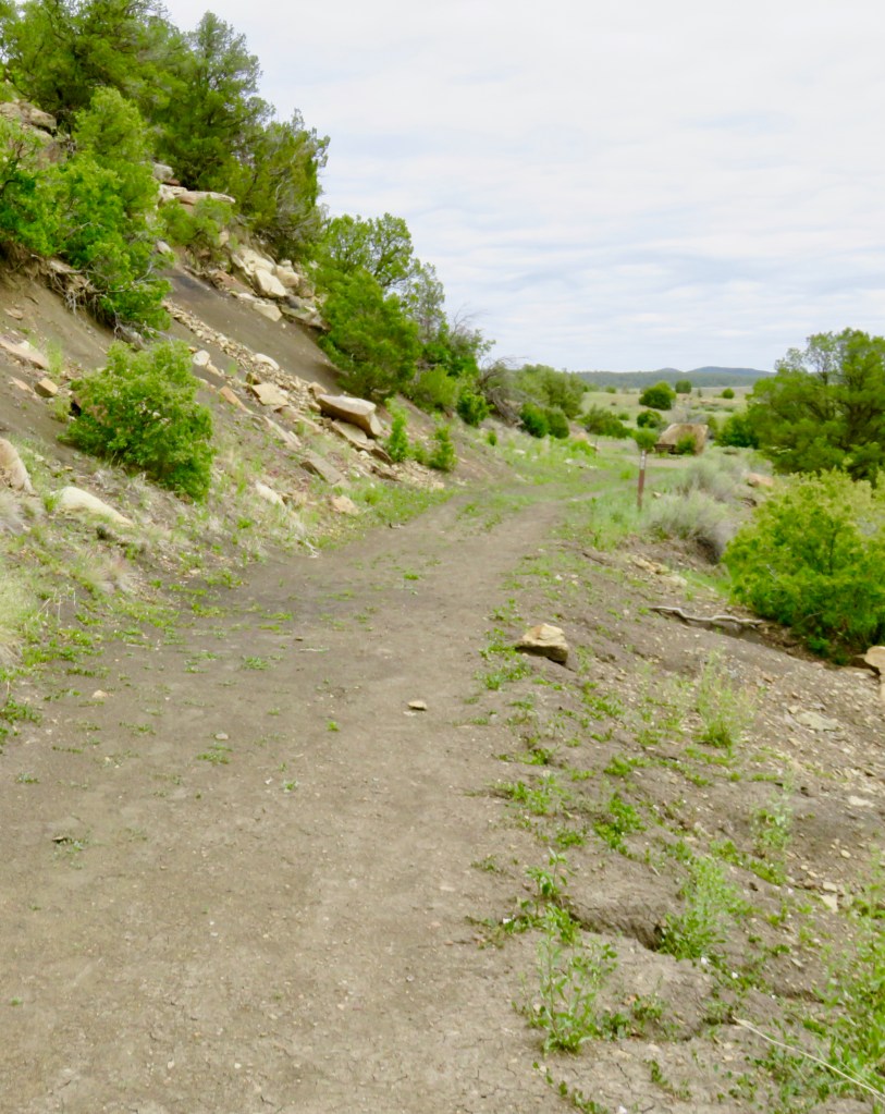 The 5th Extinction: The K-T Boundary and How to Find it – GALLIVANCE