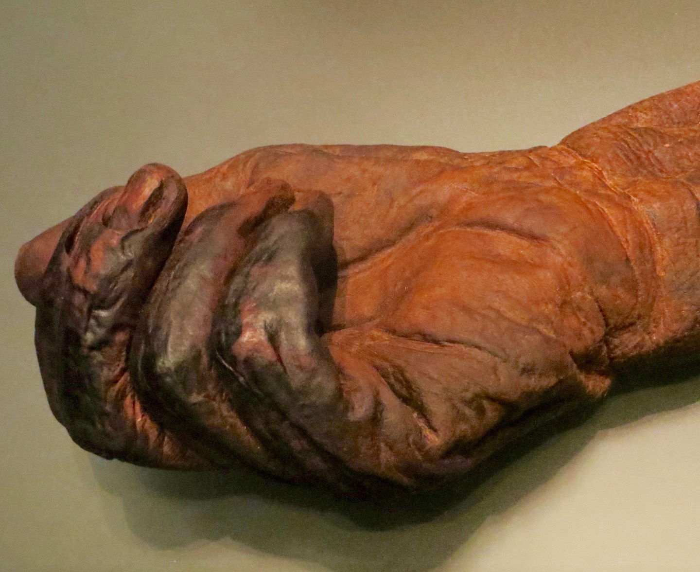 Bog Bodies: A Real Human Connection To Our Ancient Past – GALLIVANCE