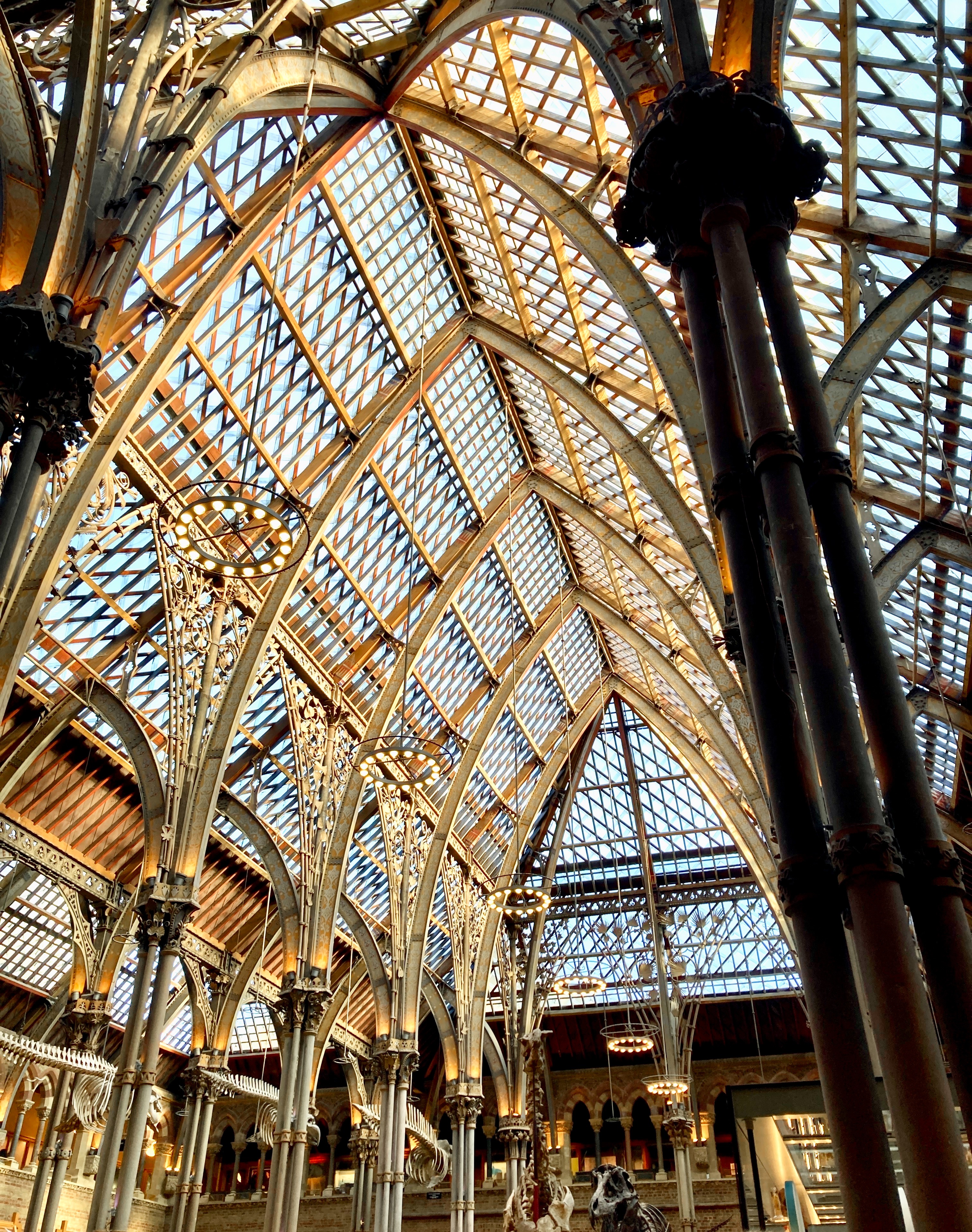 Temple of Science: Oxford University Museum of Natural History – GALLIVANCE